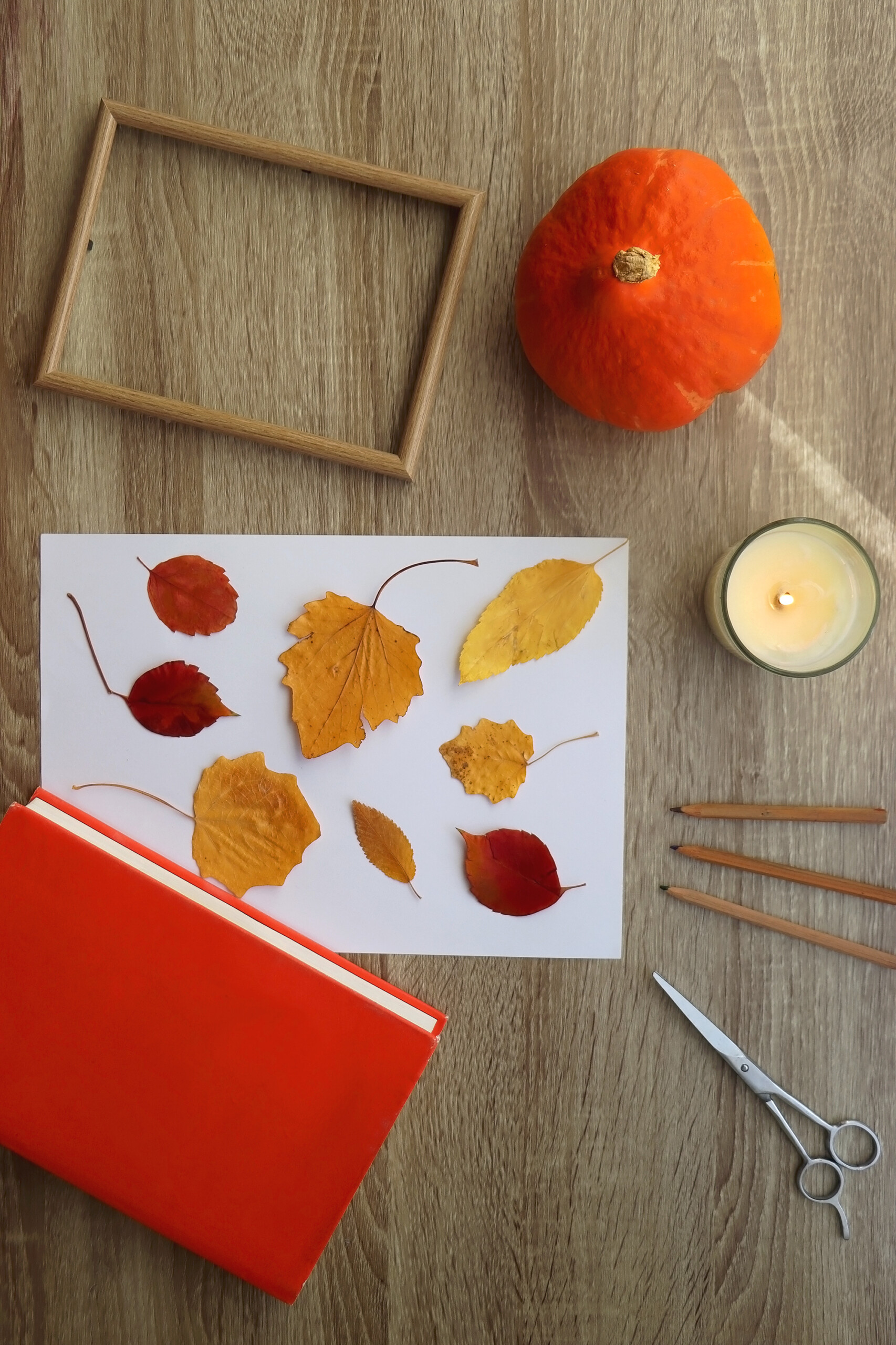 Blog : DIY Fall Decor: How to Press Fall Leaves in 7 Easy Steps ...