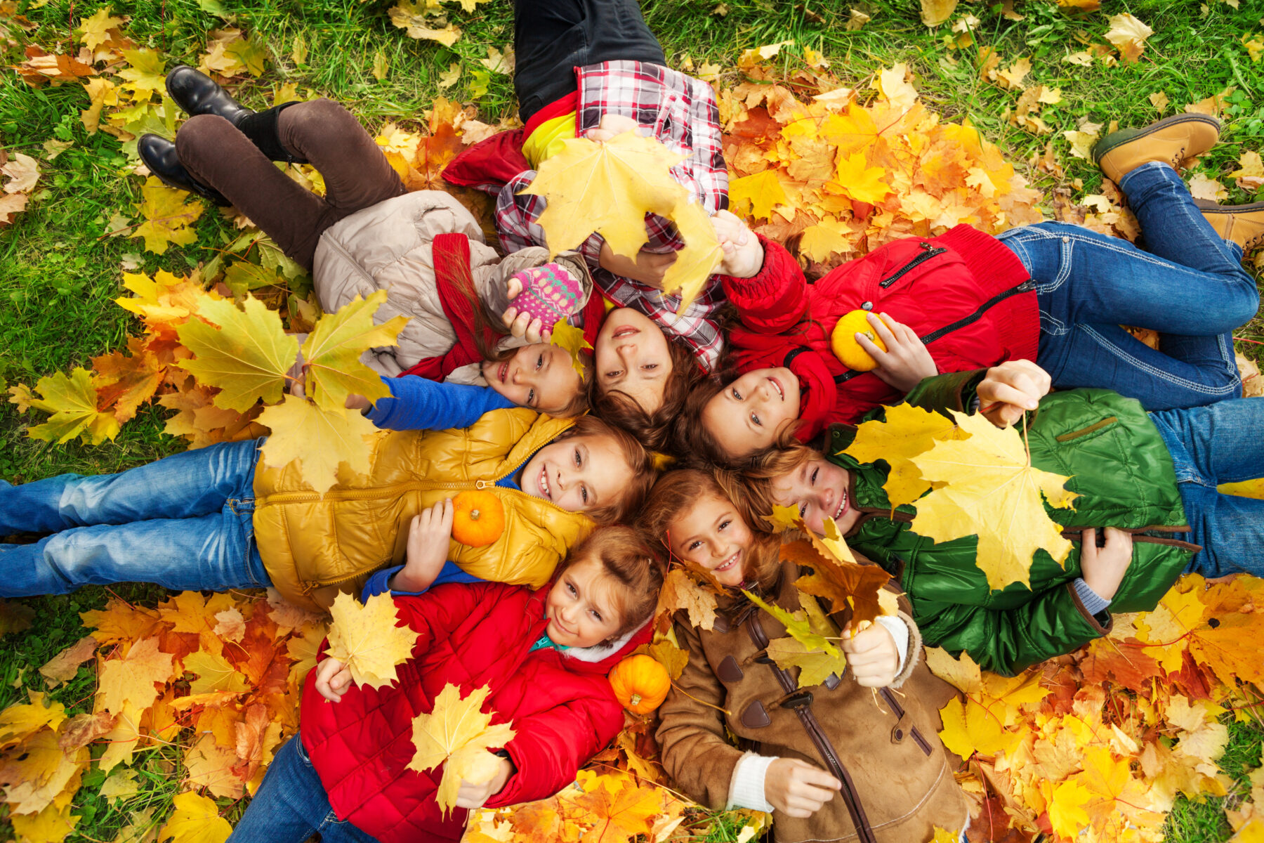 Blog : 10 Fun Facts about Autumn You Probably Didn’t Know! — Langmobile